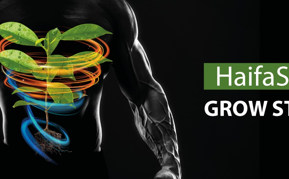 HaifaStim HumiK encouragement of root activity | Haifa Group